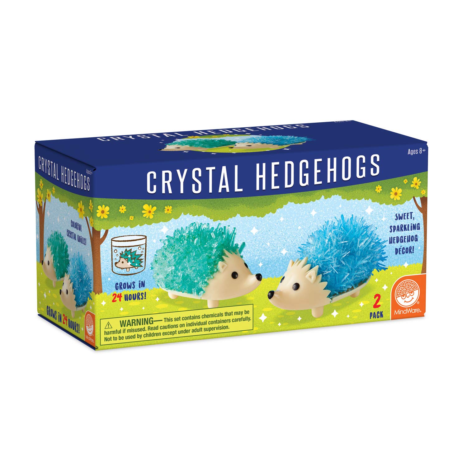 Amazon.com: MindWare Crystal Growing Kits (Hedgehog Cool Colors) Grow ...