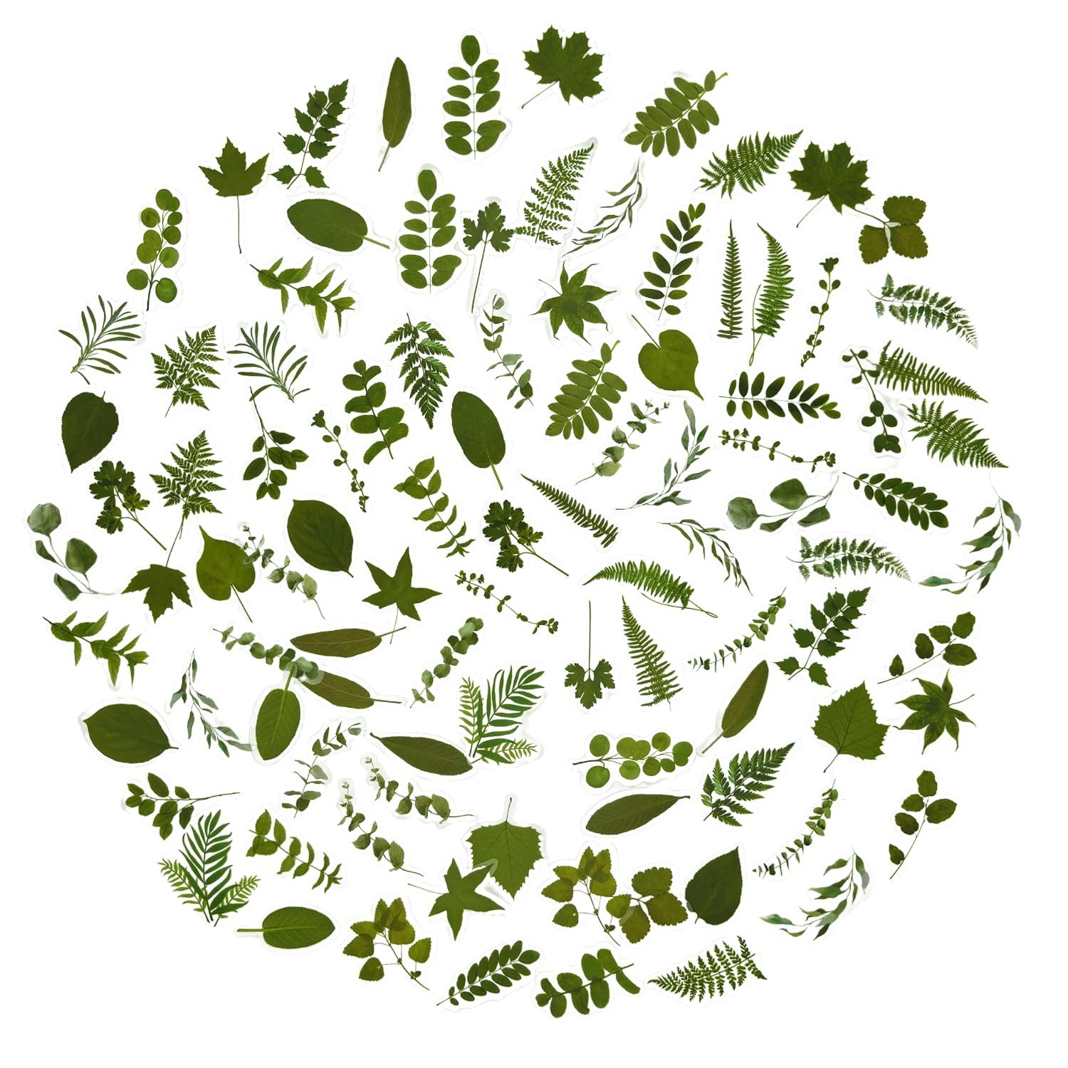 Amazon.com: 100Pcs Small Green Leaf Stickers, Obujopal Nature Plant ...