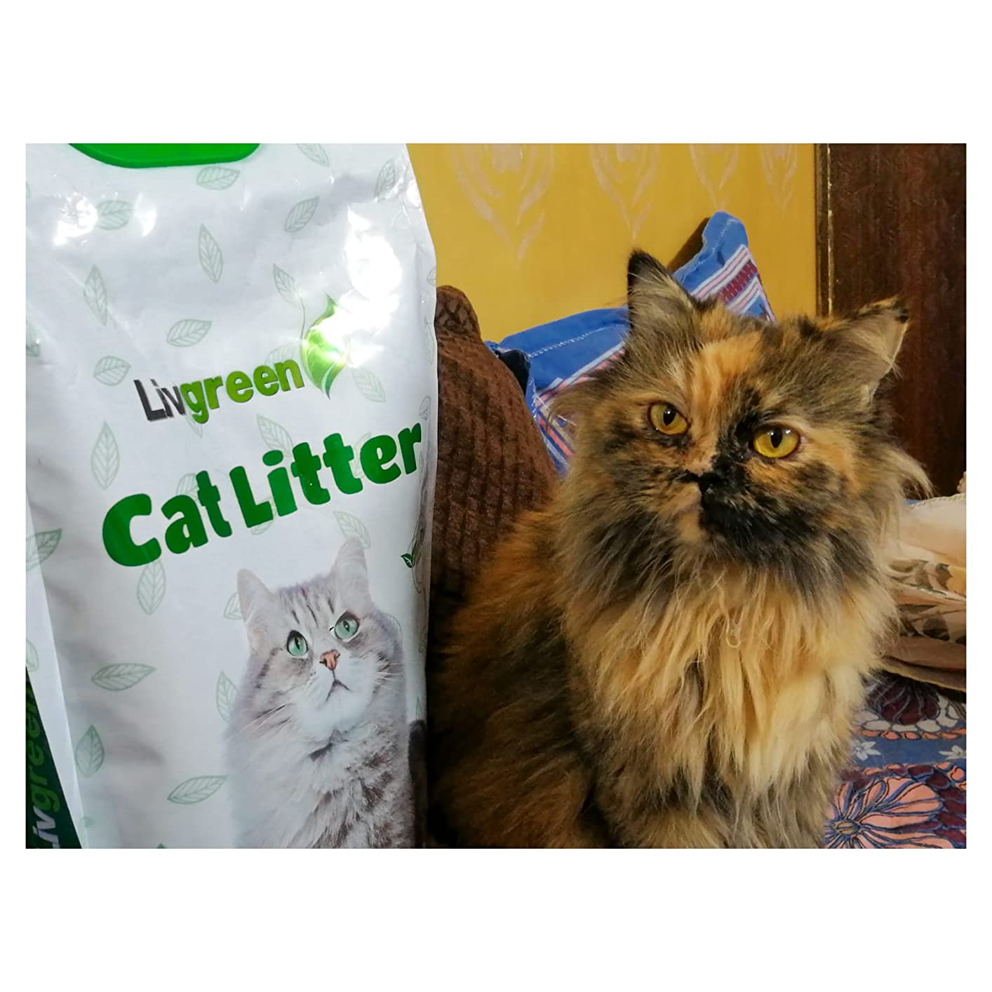 Buy LivGreen Premium Cat Toilet Litter/Sand with 3X Absorption, Pine ...