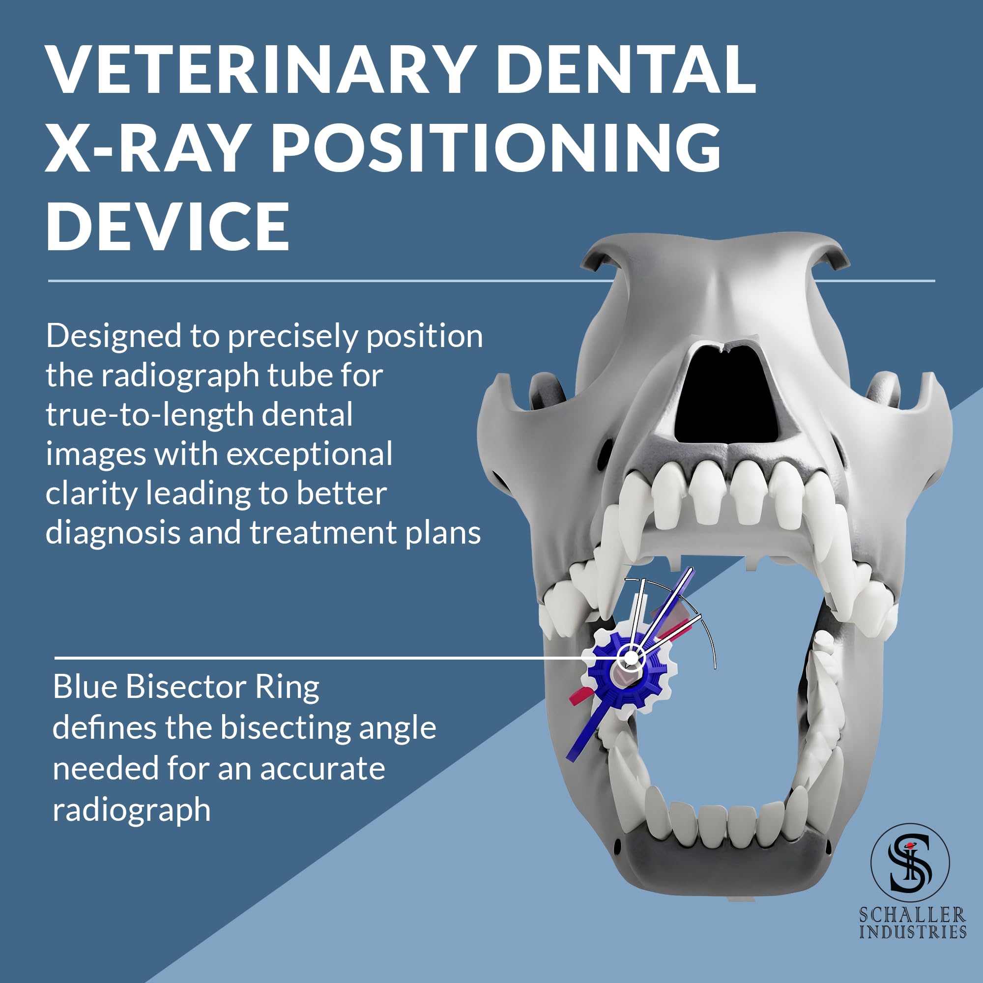 Veterinary Radiography Positioning