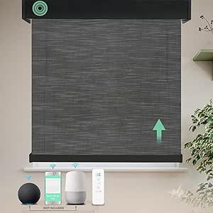 Amazon.com: MING CHEN Light Filtering Motorized Roller Shades with Remote, Built-in Rechargeable ...