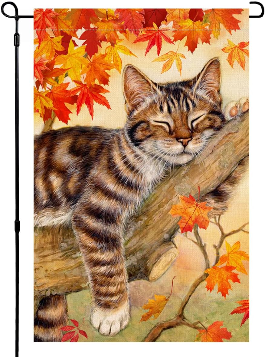 Amazon.com : Fall Cat Garden Flags 12x18 Inch Double Sided, Hello Fall ...