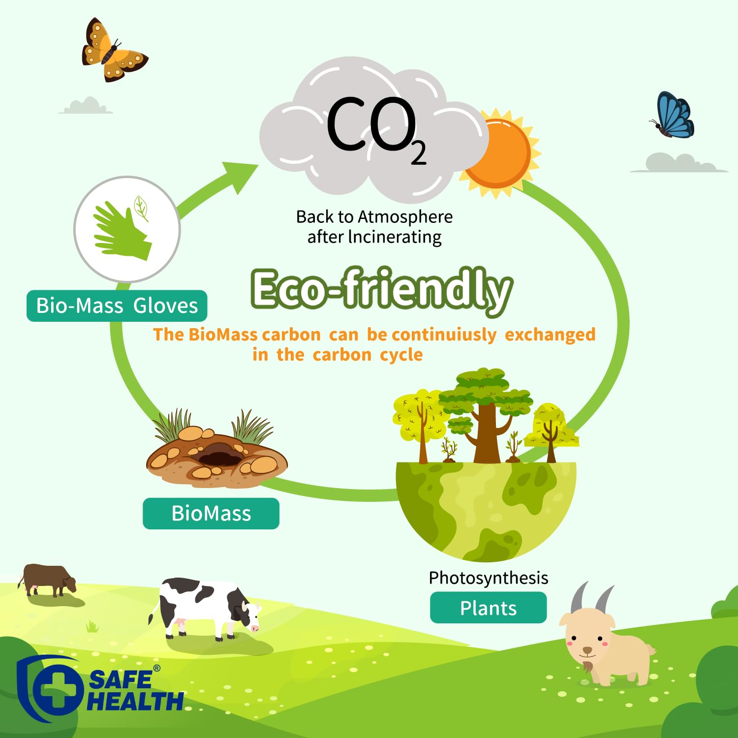 Biomass Cycle For Kids