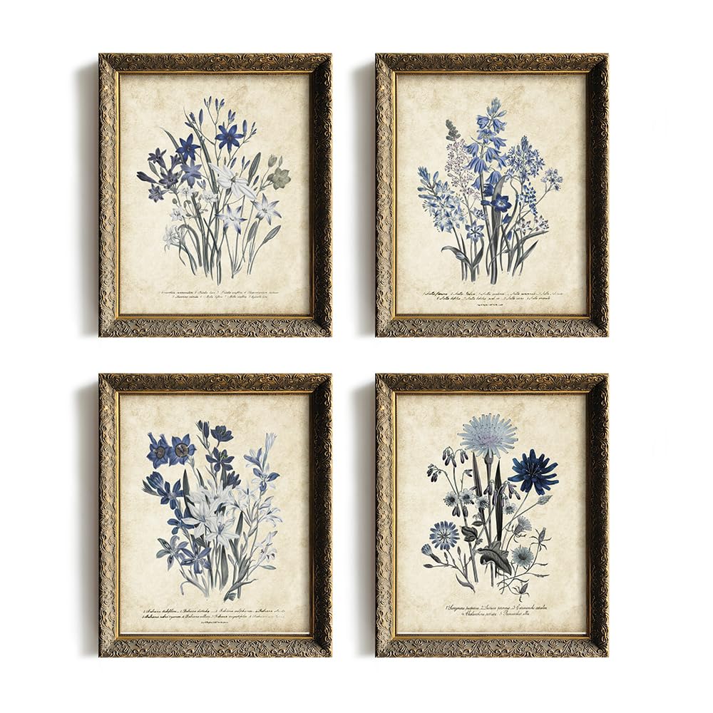 Amazon.com: Watercolor Vintage Flower Poster Print - 11x14" Rustic ...