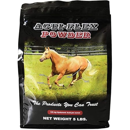 Amazon.com : Acti Flex Solution 32 oz : Horse Nutritional Supplements ...
