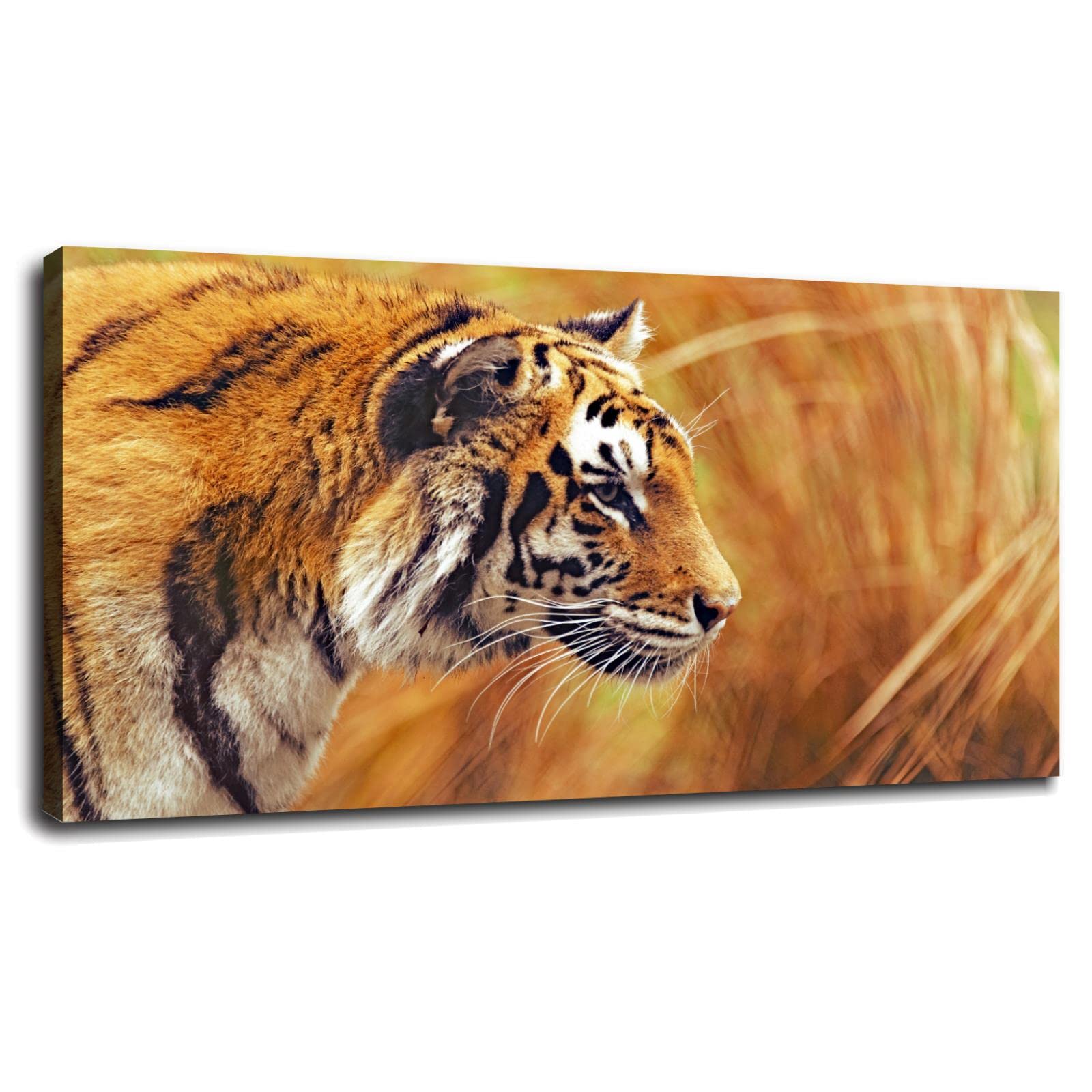 Javanese Tiger