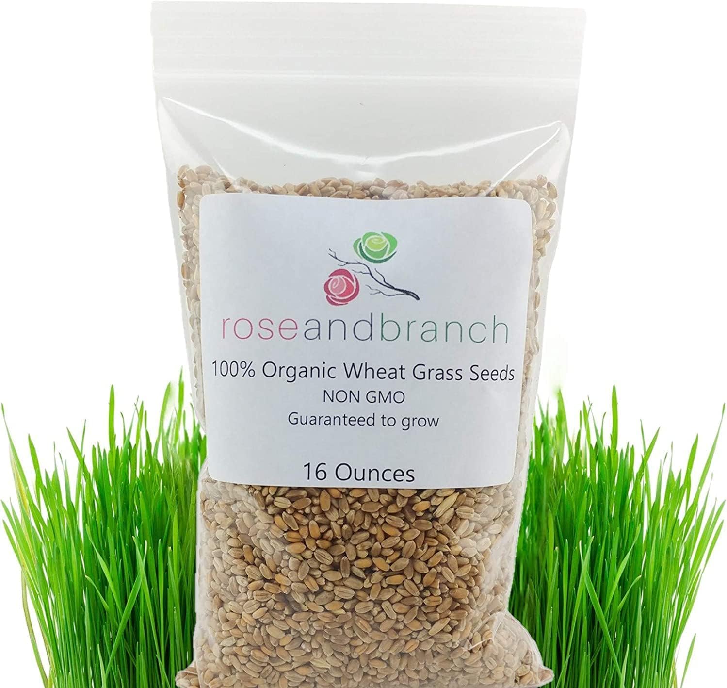 Amazon.com : Organic Wheatgrass Growing Starter Kit - Grow & Juice Wheat Grass - Includes Non ...
