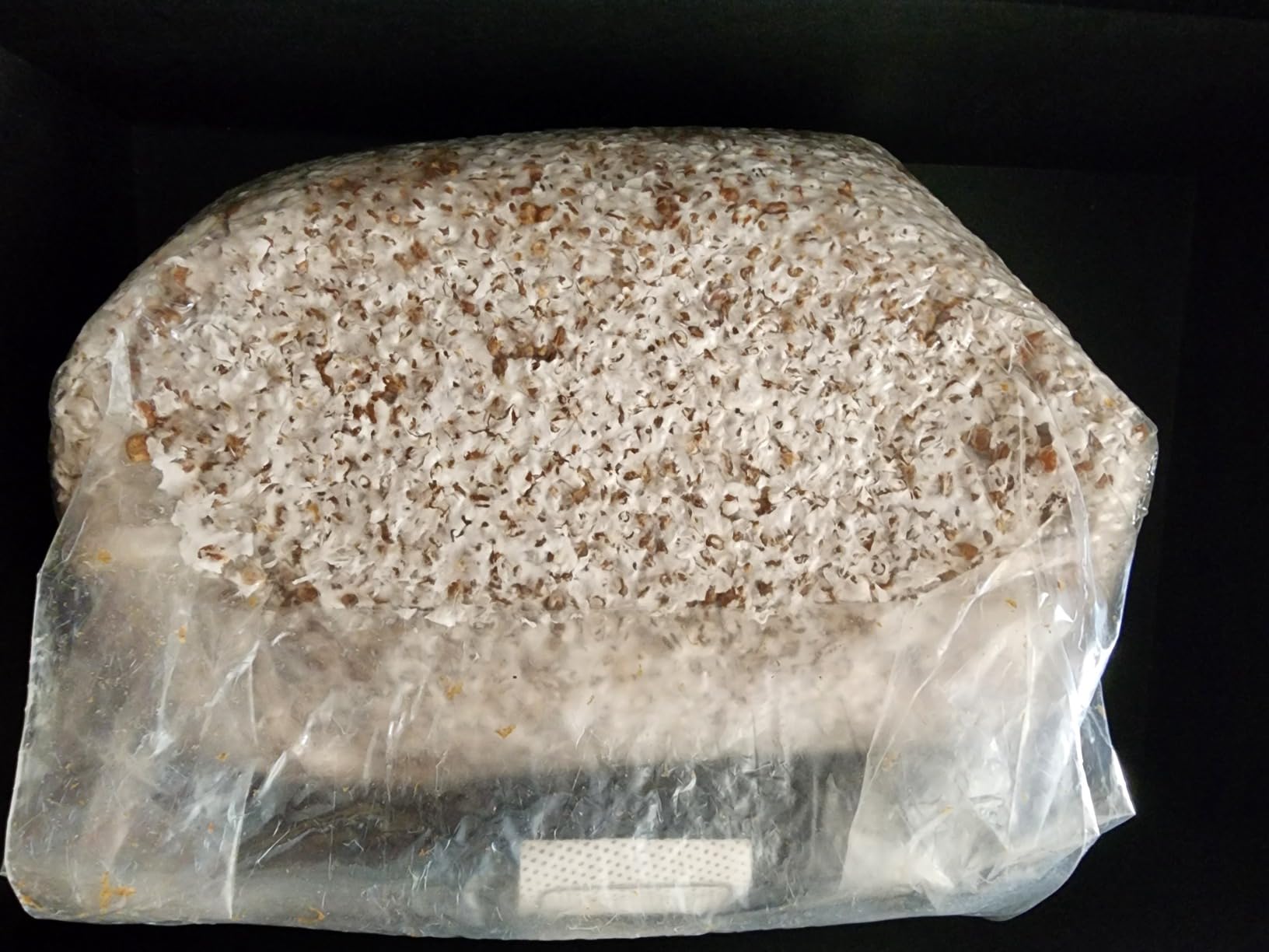 MonoTub Mushroom Grow Kit – Mushroom Spawn Store