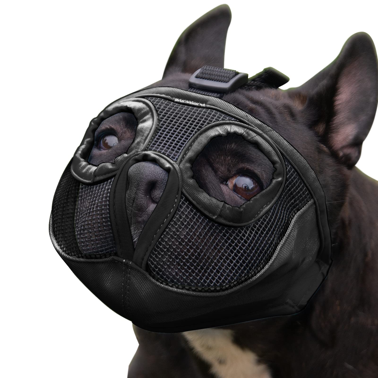 Dinosaur Mask For Dogs 3 Pcs Adjustable Dog Gas Mask, Reusable Dog ...