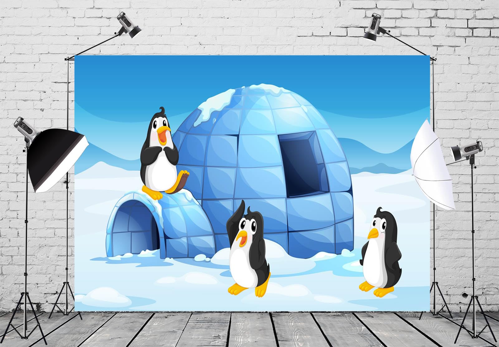 Winter Photography Backdrop Fabric 15x10ft Arctic Igloo Backdrop ...