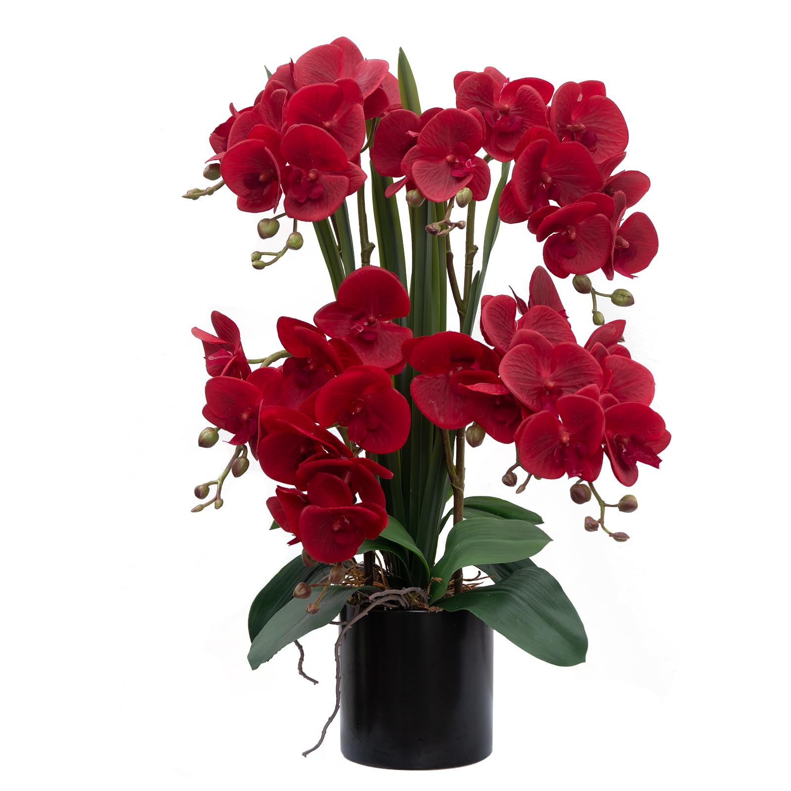 Amazon.com: CXGS Artificial Orchid Flower Plants Real Touch Faux ...
