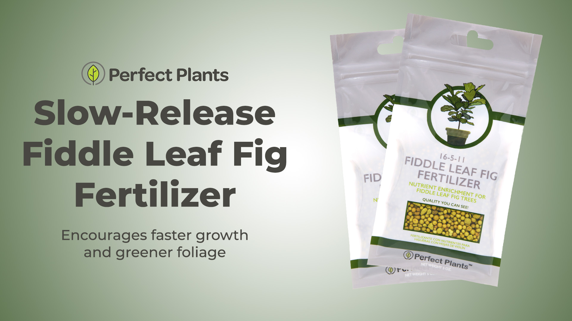 Watch Slow-Release Fiddle Leaf Fig Fertilizer | Indoor Ficus Food on ...