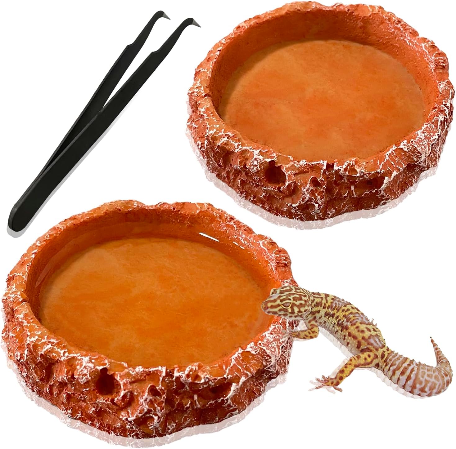 Amazon.com : 2 Reptile Feeding Dish Water Dish Food Bowls,Breadworm ...
