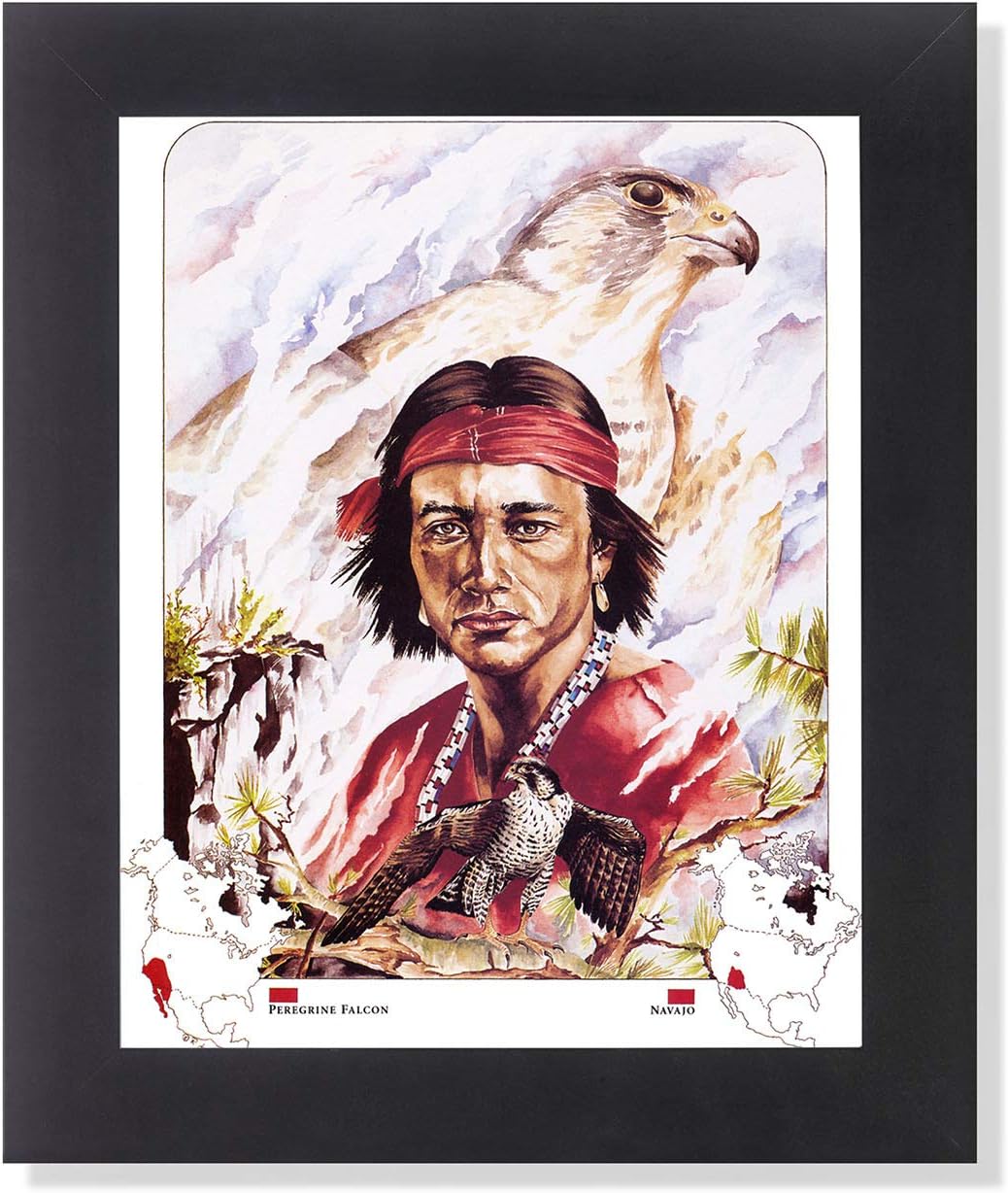 Amazon.com: Art Prints Inc Native American Indian Navajo Tribe Falcon ...