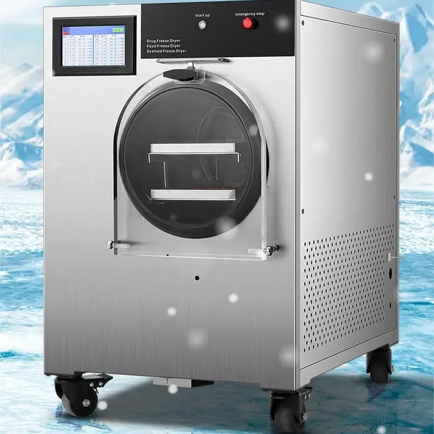 WaaYb Freeze Dryer for Food, Scientific Freeze Dryer Machine Vacuum ...