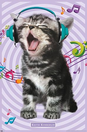 Amazon.com: Keith Kimberlin - Kitten - Singing Wall Poster, 19L" x 13W ...