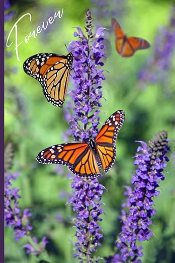 Monarch Butterfly Notebook Journal ,6x9: "Forever": 100 Blank, Lined ...