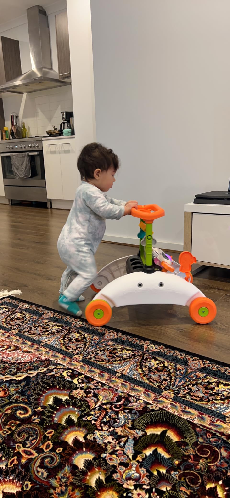 Fisher-Price Baby Push Toy 2-Sided Steady Speed Panda Walker Musical ...