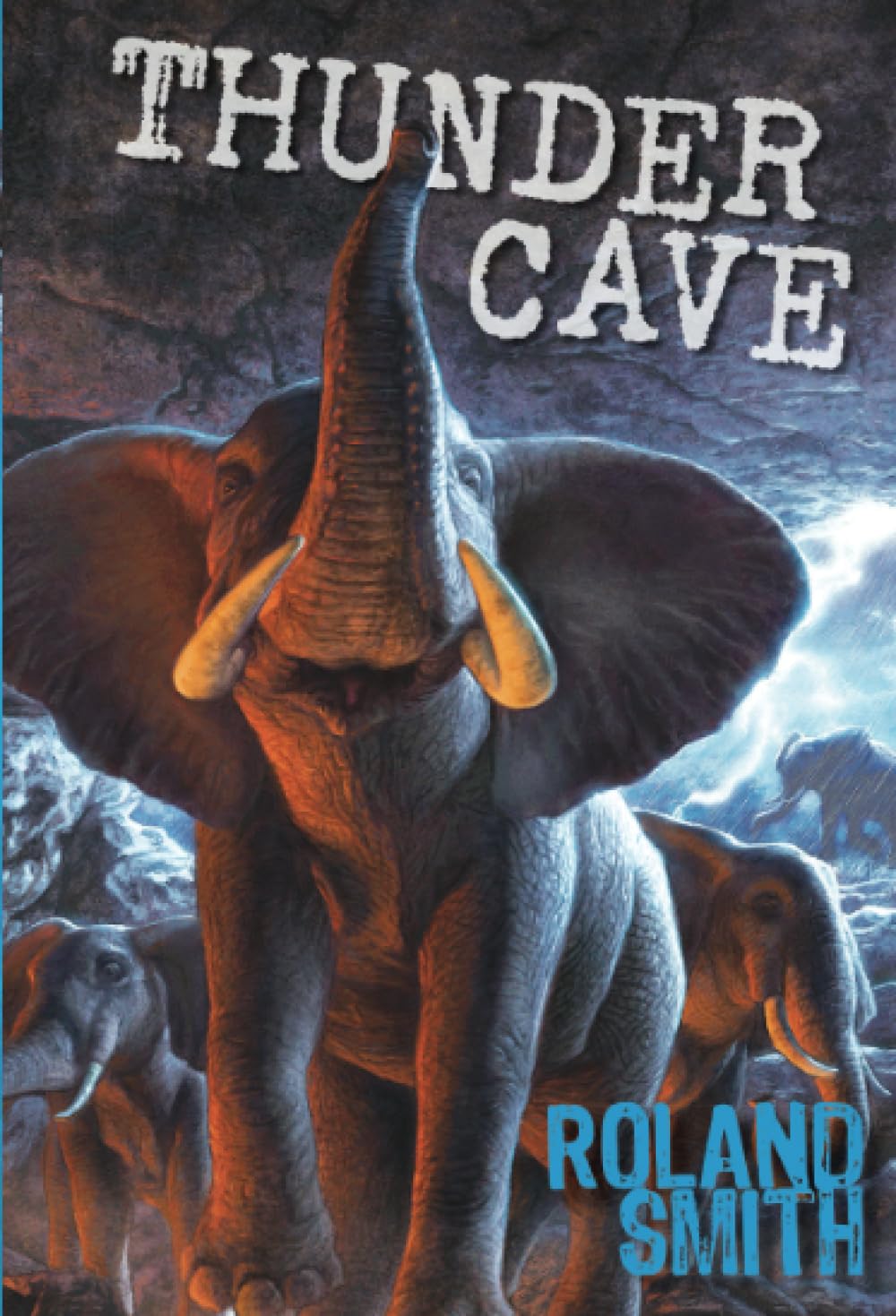 Amazon.com: Thunder Cave (Thunder Cave, 1): 9780786811595: Smith ...