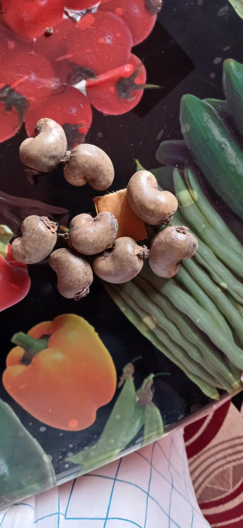 SS Naturals- Cashew Nut Seed, Anacardium Occidentale, Kaju, Cajou - 15 ...