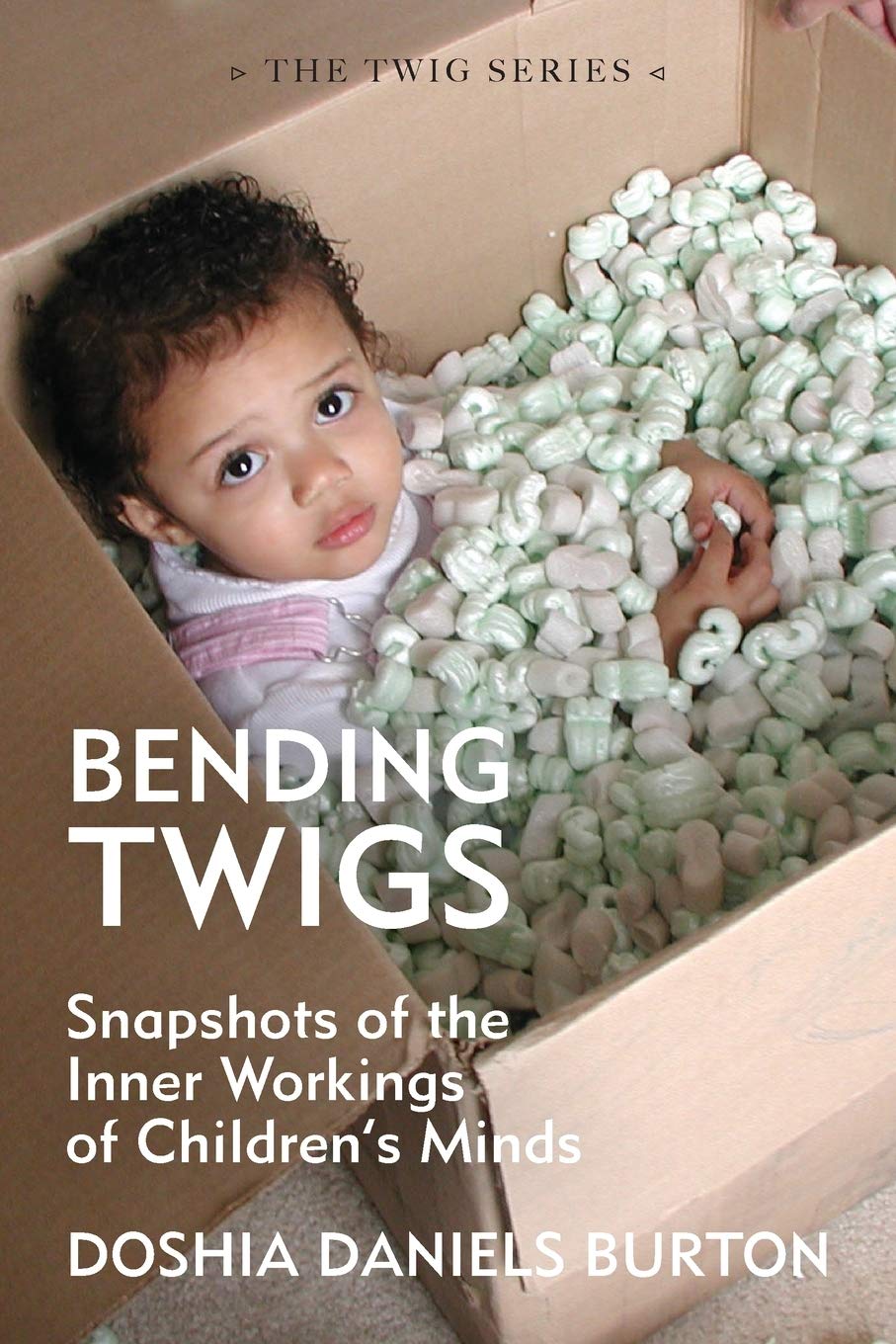 Bending Twigs: Snapshots of the Inner Workings of Children's Minds ...