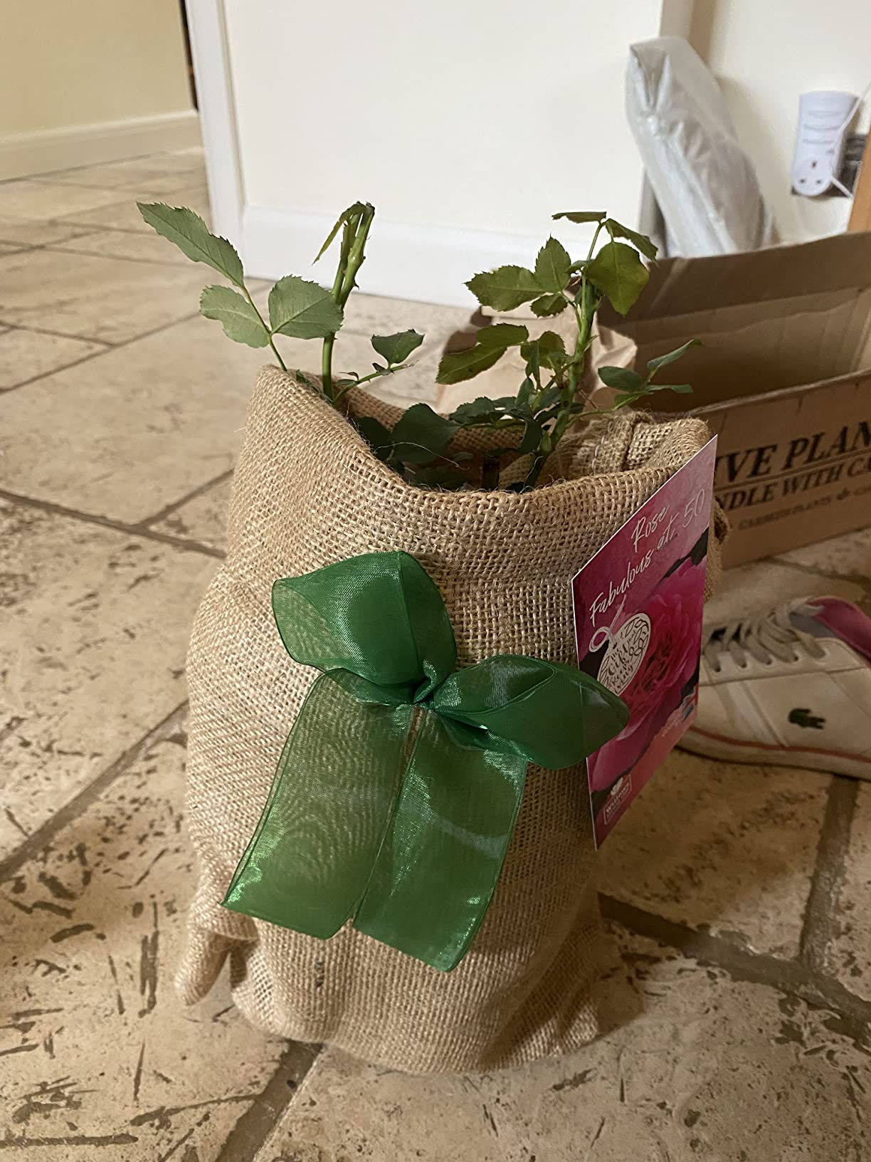 Happy Retirement Rose Bush Gift Wrapped - Help A Colleague Or Friend ...