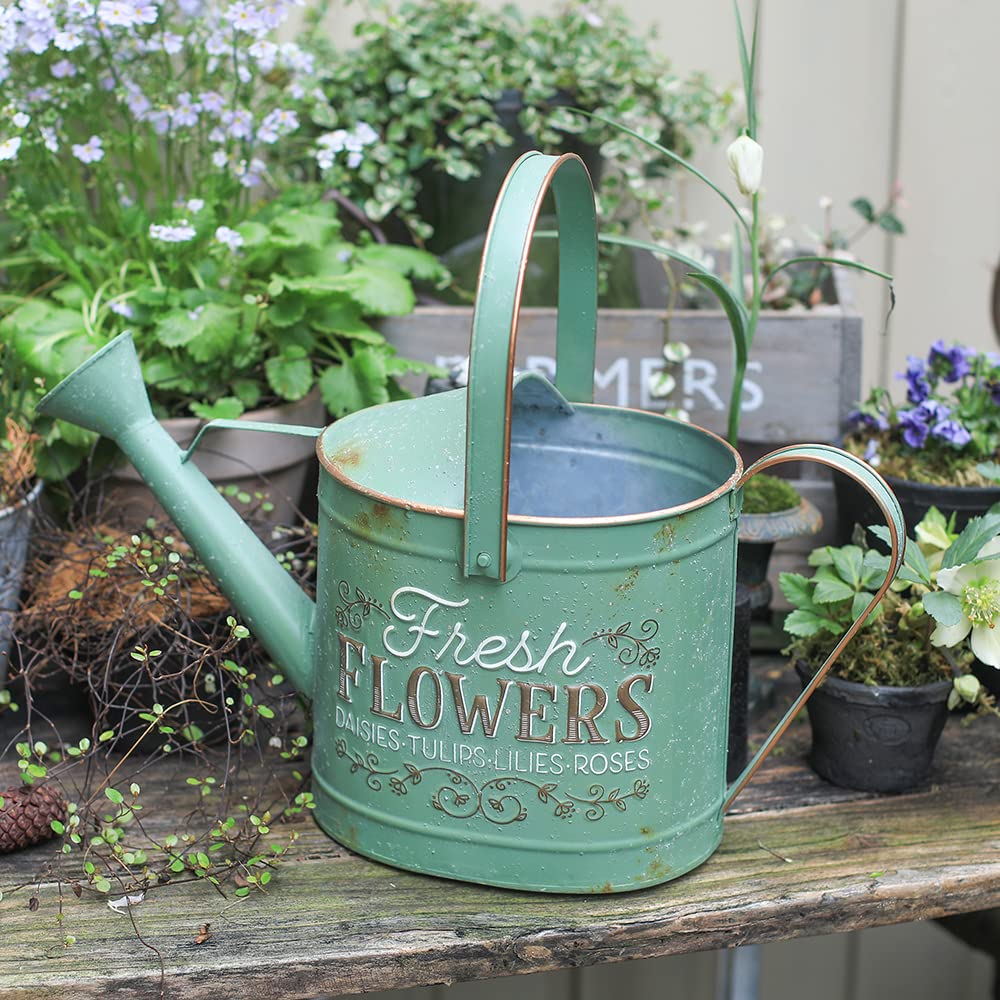 Rustic Watering Can Rent: Rustic Metal Watering Can (Large)