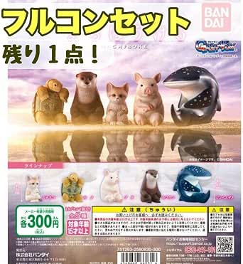 Amazon.co.jp: Full Complete 6 Animal Gacha Gachapon Capsule Toys : Toys ...