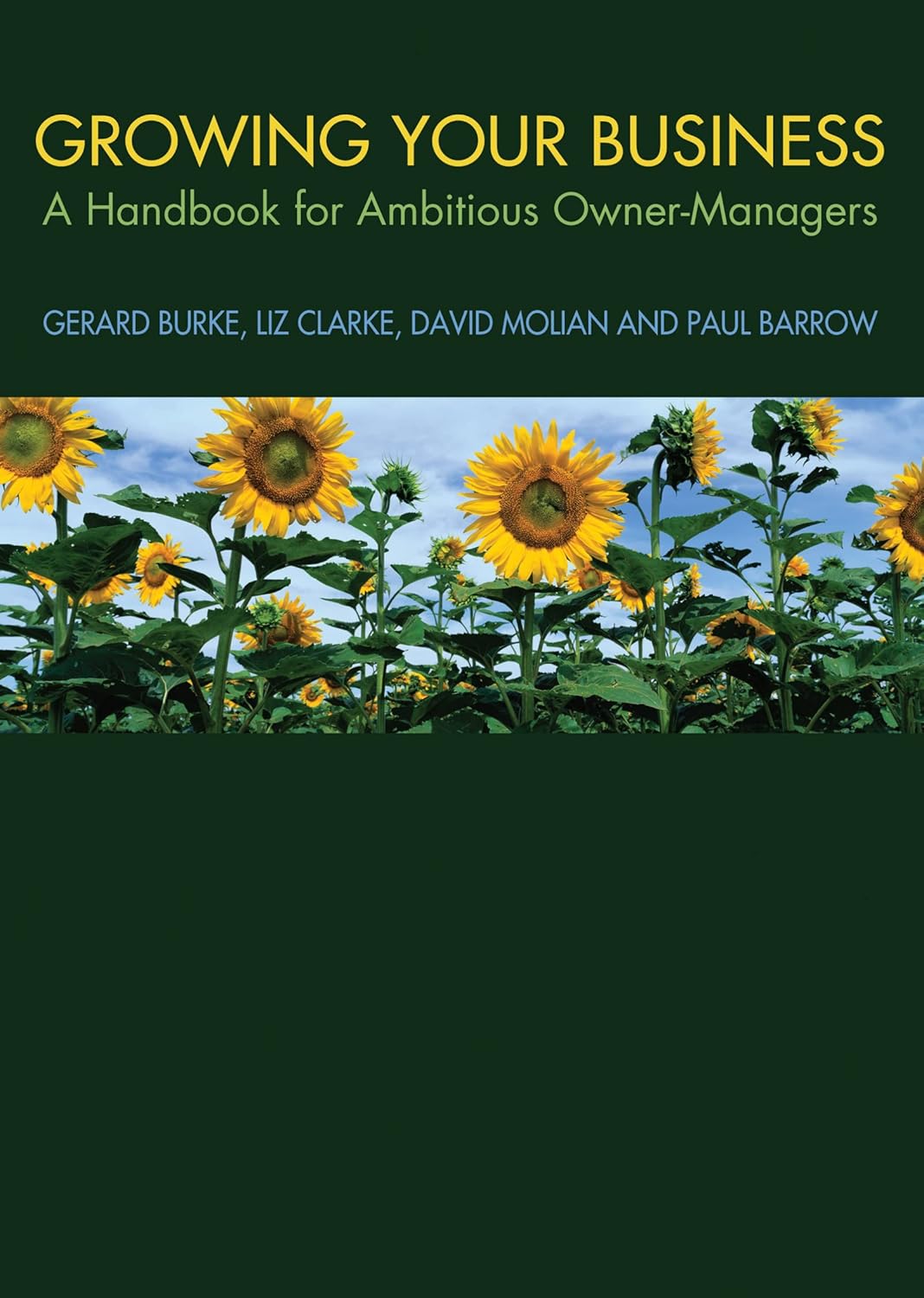 Amazon.com: Growing your Business: A Handbook for Ambitious Owner ...