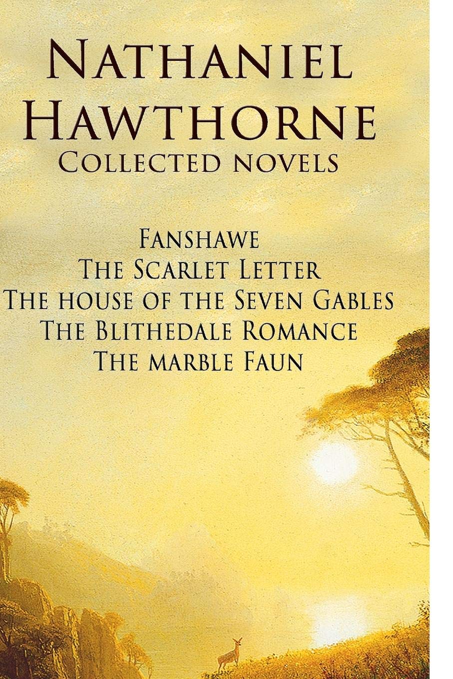Nathaniel Hawthorne Collected Novels: Fanshawe, The Scarlet Letter, The ...