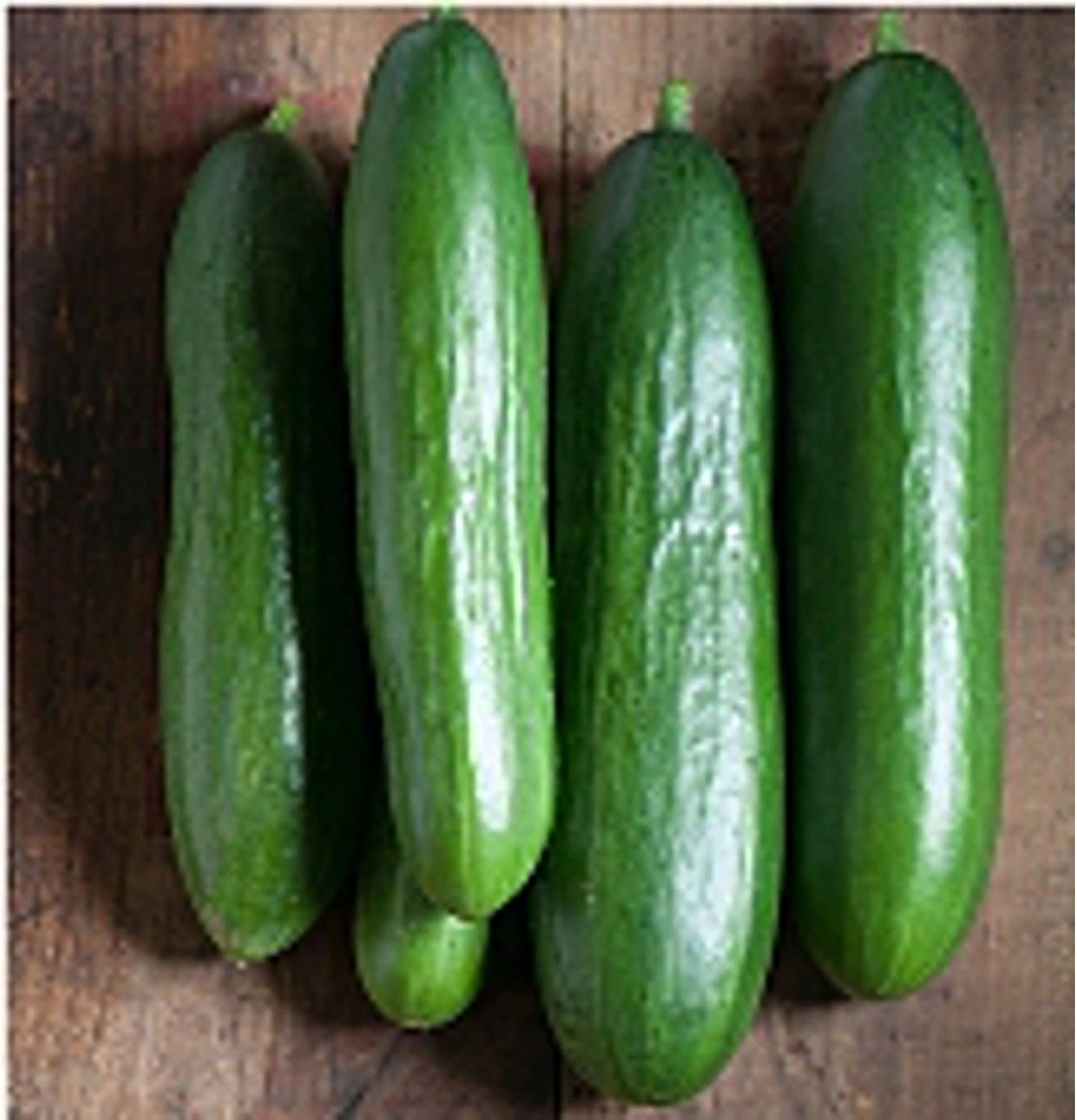 Amazon.com : Diva Cucumbers Seeds (40 Seeds) Seeds for Planting, Farm ...