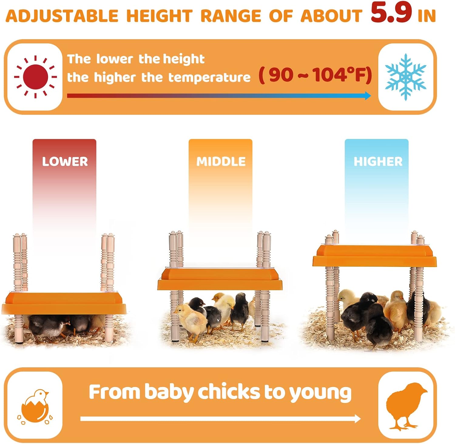 Calentador de criador para pollitos de 10 x 10 pulgadas para 15 ...