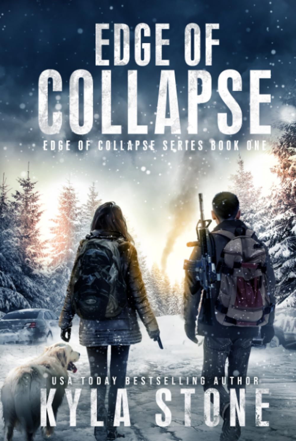 Amazon.com: Edge of Collapse: A Post-Apocalyptic Survival Thriller: 9781945410994: Stone, Kyla ...
