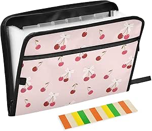 Amazon.com : Cherry Striped Bow File Folders,Plastic Folders with 13 ...