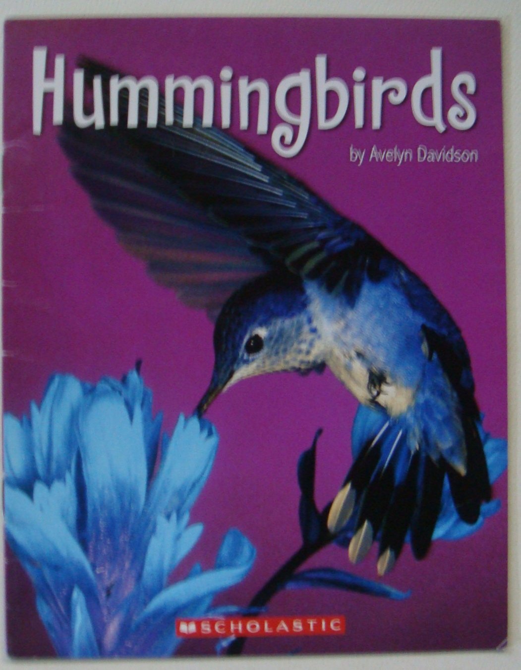 Hummingbirds: Avelyn Davidson: 9780545012195: Amazon.com: Books