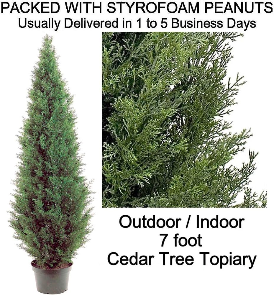 Amazon.com - Our 84" Cedar topiary with its lush green foliage, will ...