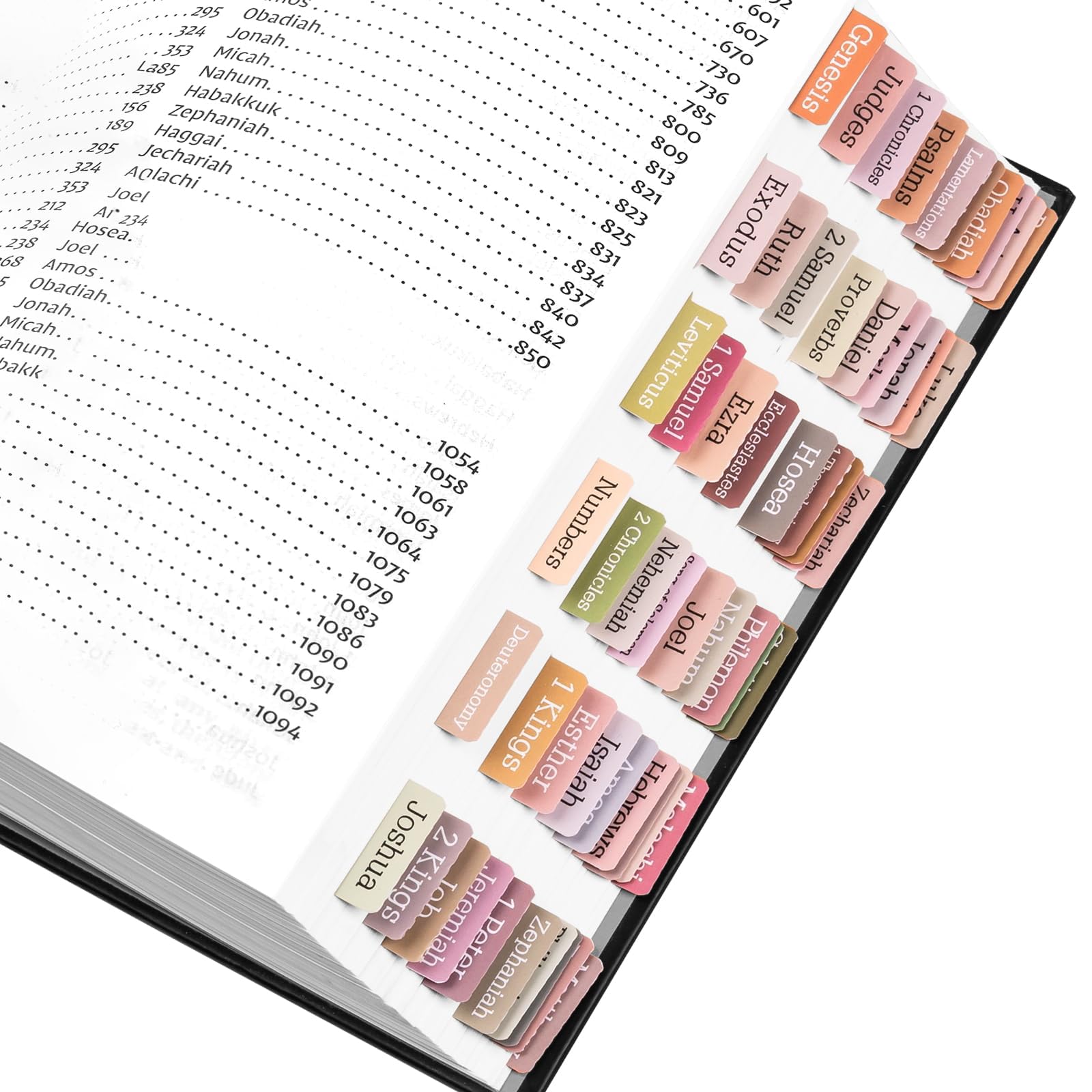 TELAIN 75 Laminated Bible Tabs, Large Print Bible Chapter Tabs, Boho ...