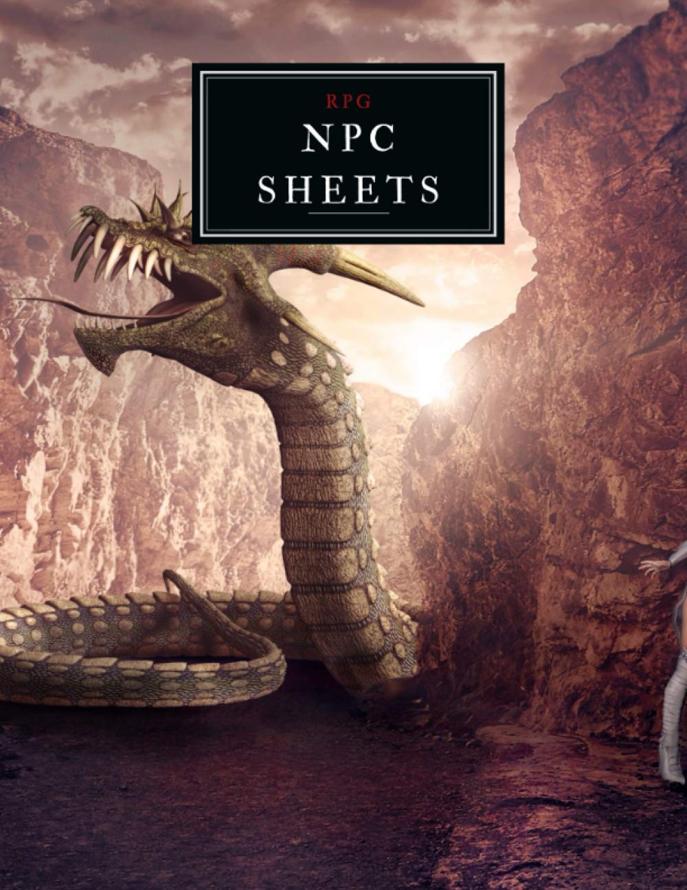 Buy NPC Character Sheet Journal: Create, Record, and Keep track of your ...