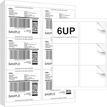 Amazon.com : PAPRMA 3-1/3" x 4" Shipping Address Label 250 Sheets ...