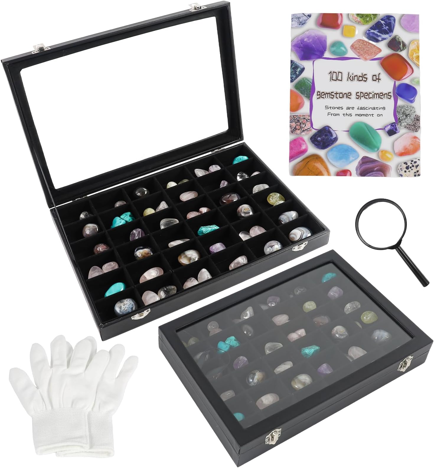 Amazon.com: STAOVA 2Pcs Rock Collection Display Box,Rock Collections ...