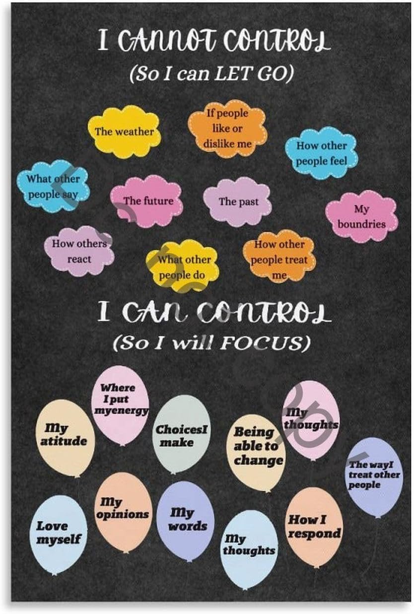 Amazon.com: What I Can Control, What I Can't Control Poster Mental ...
