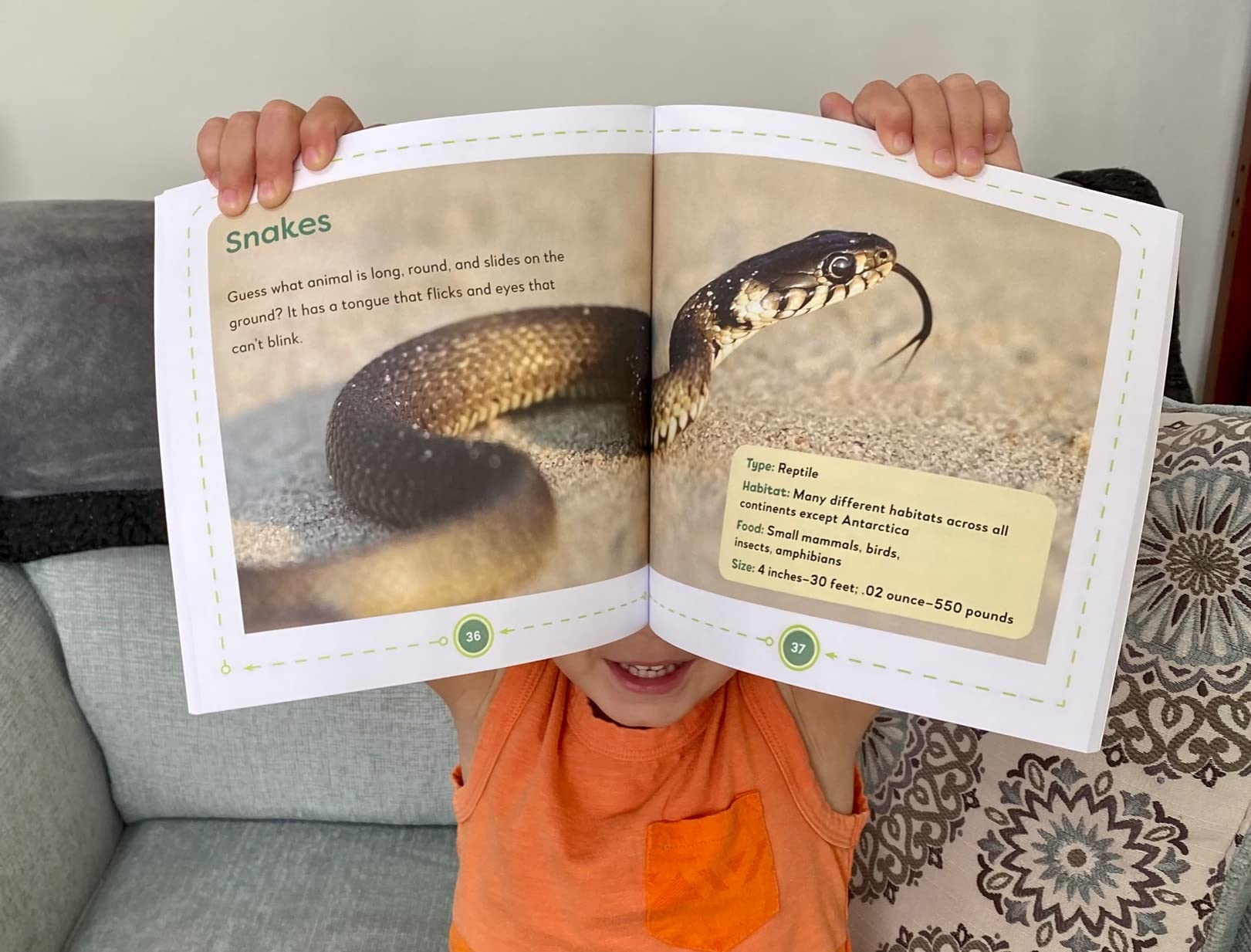 Amazon.com: My First Book of Animals: All About the World's Wildlife ...