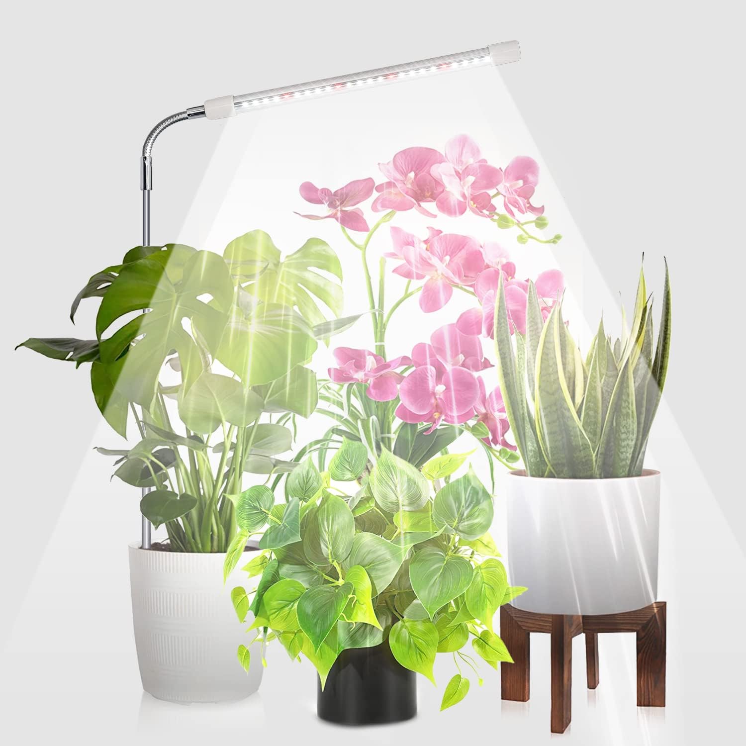 Amazon.com: Halo Ring Grow Lights for Small Indoor Plants, Warm+White ...