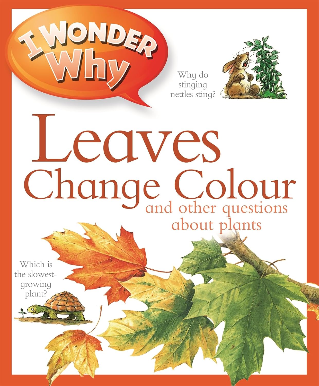 I Wonder Why Leaves Change Colour: Andy Charman: 9780753432297: Amazon ...