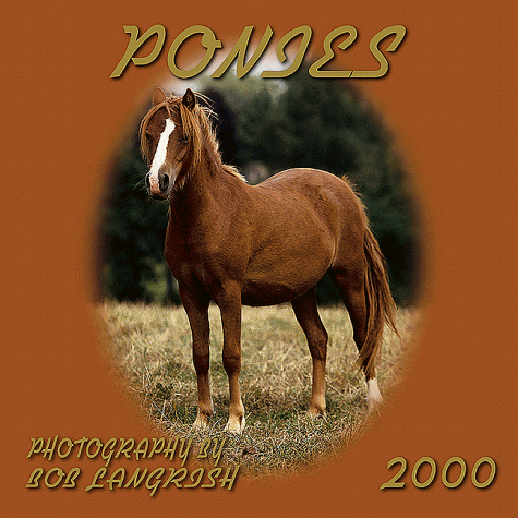 Ponies 2000: Langrish, Bob: 9780763121198: Amazon.com: Books
