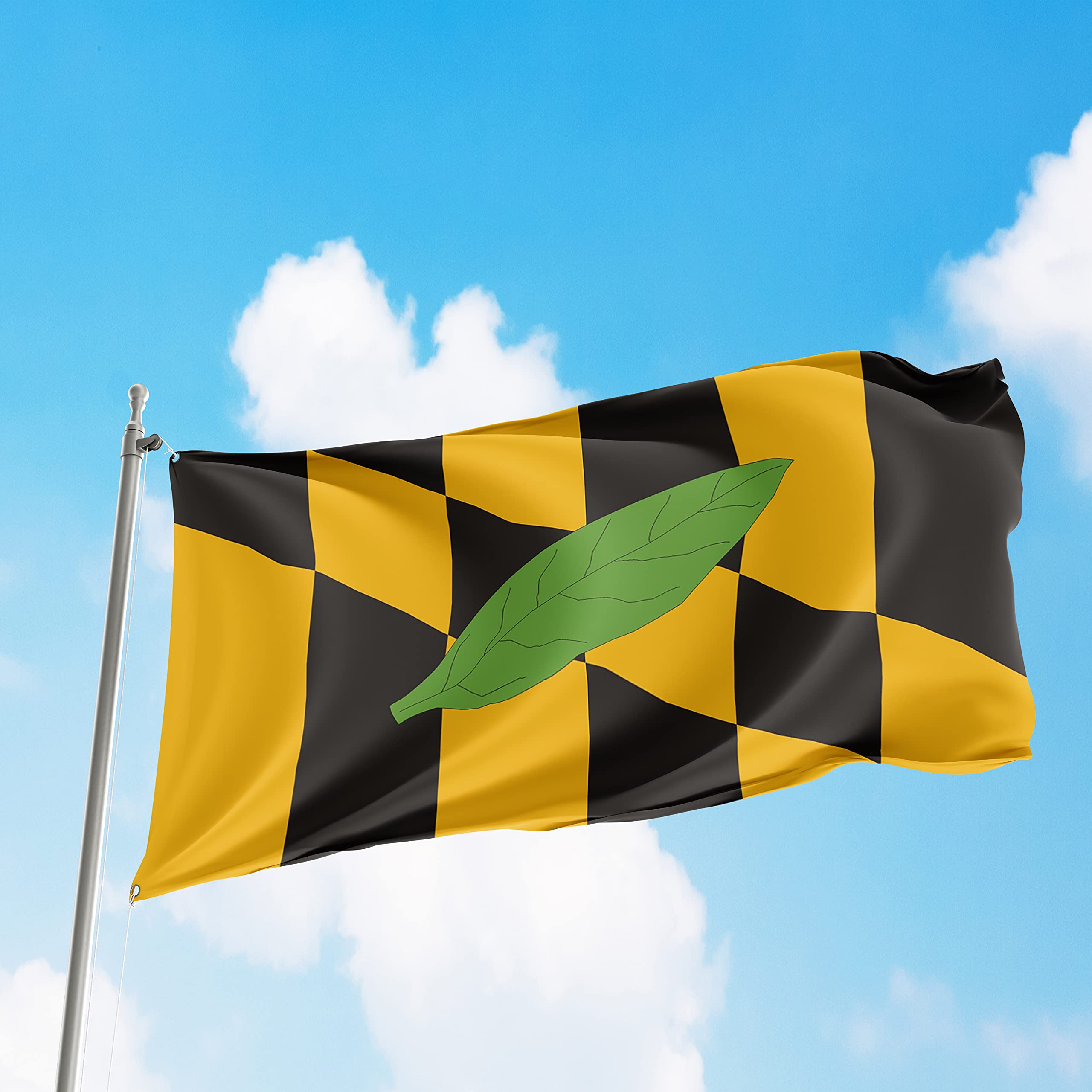 Calvert County Flag Flying Carroll County's Flag Policy: What Counts