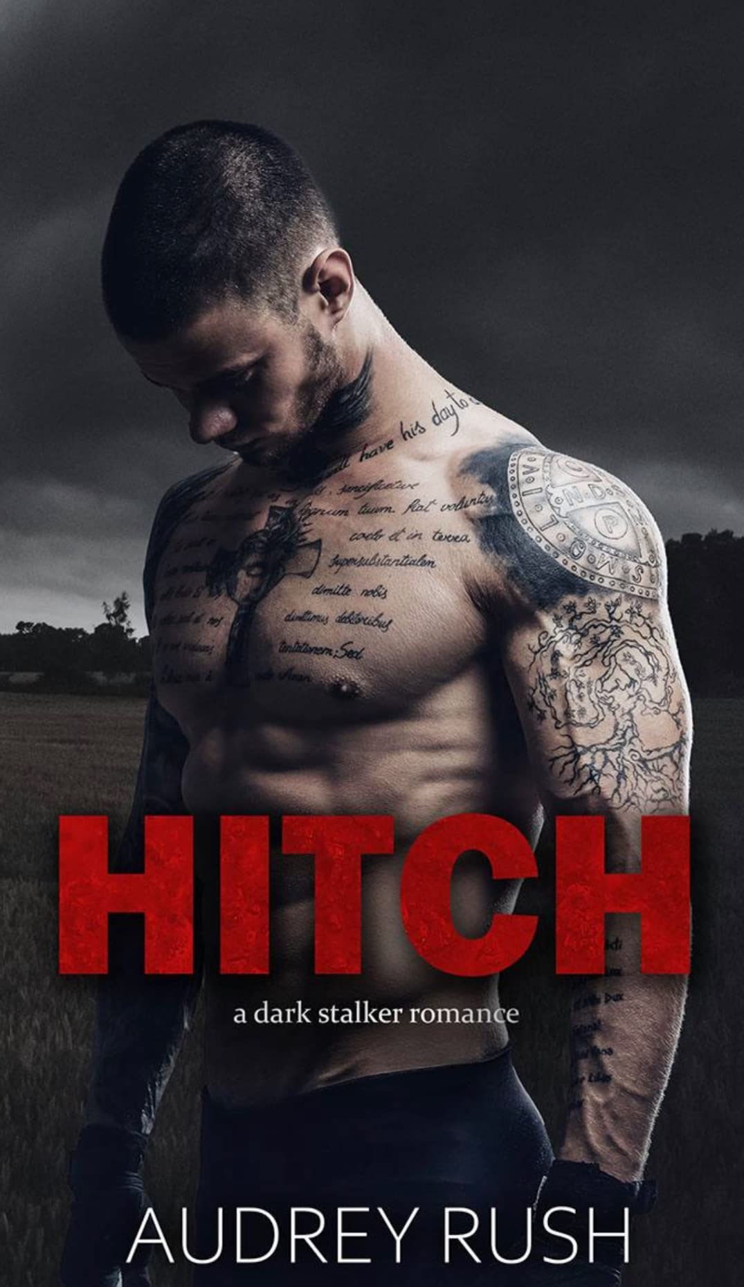 Hitch: A Dark Stalker Romance - Kindle edition by Rush, Audrey. Romance ...