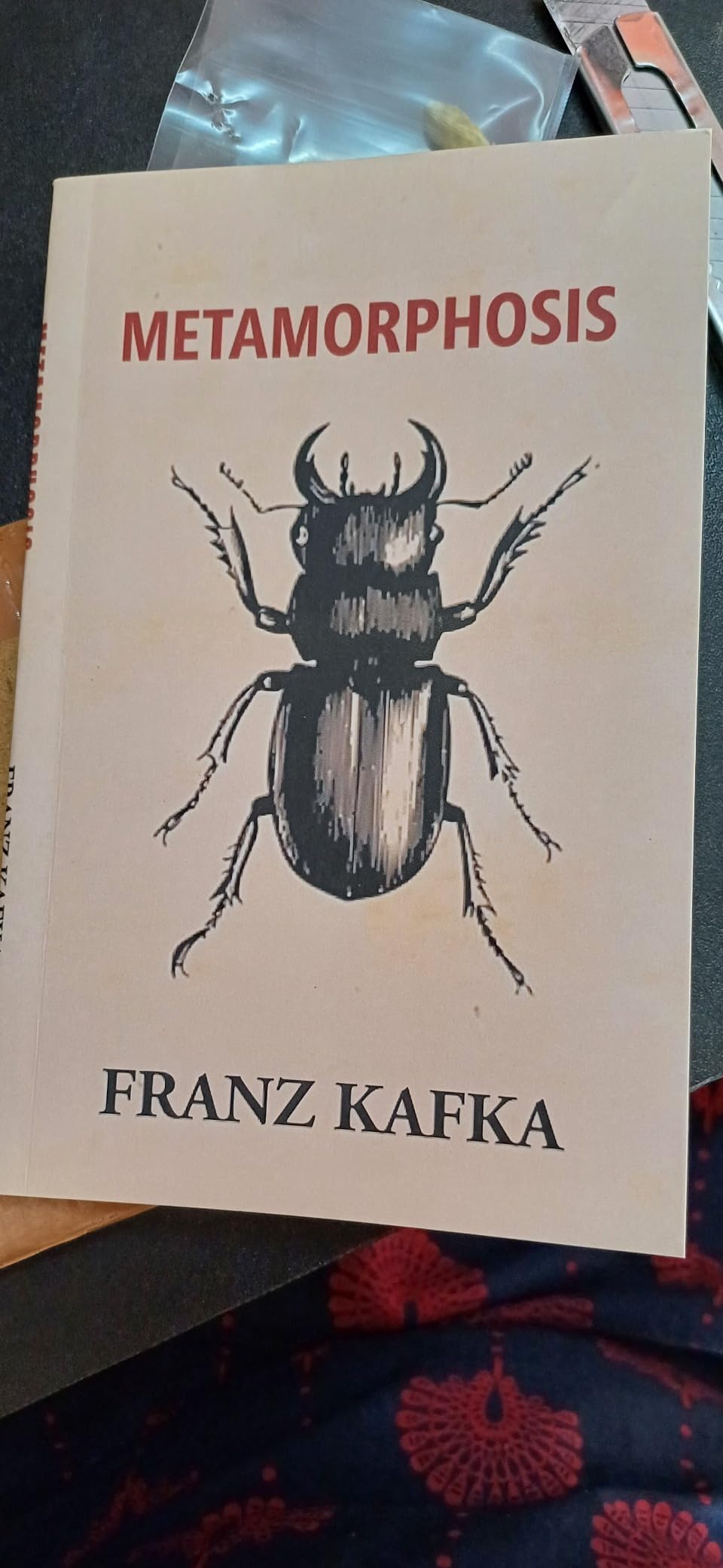 Metamorphosis : Franz Kafka, Translated By David Wyllie: Amazon.in: Books