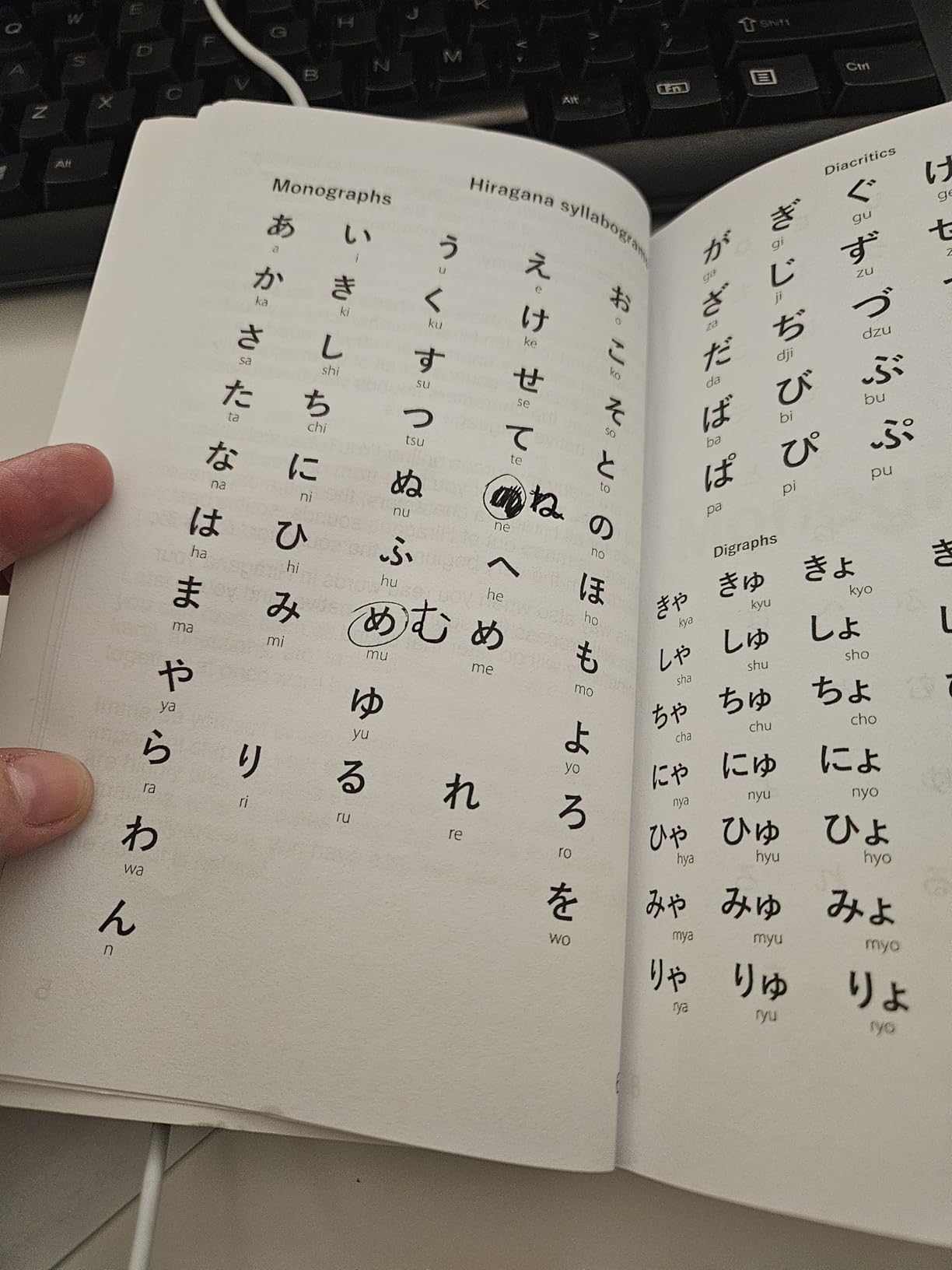 Japanese Hiragana Reading Practice: Read Hiragana small portable book ...