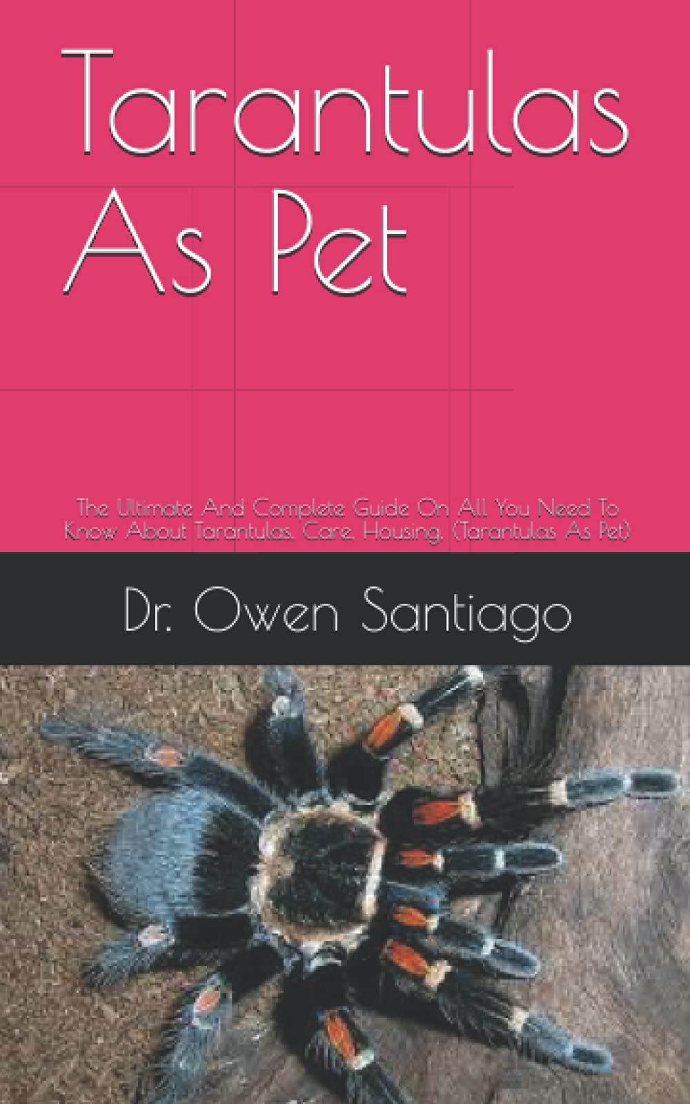 Buy Tarantulas As Pet: The Ultimate And Complete Guide On All You Need ...